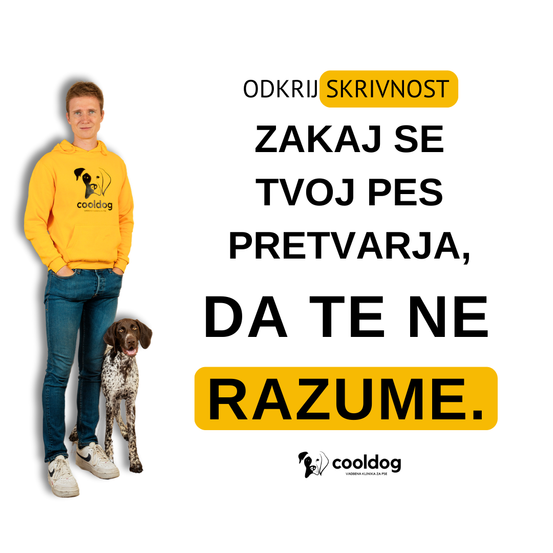 Odkrij skrivnost, zakaj se tvoj pes pretvarja, da te ne razume ...